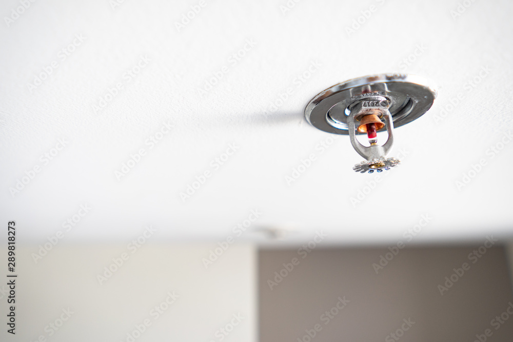 Automatic fire Sprinkler head on ceiling Stock Photo | Adobe Stock