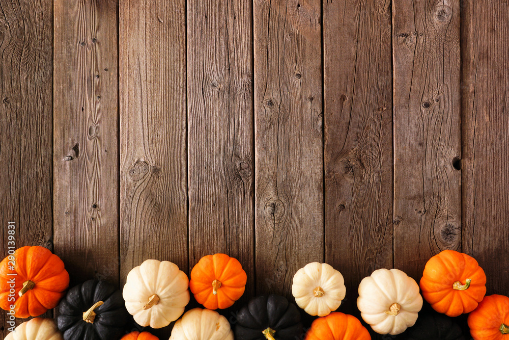 Autumn pumpkin bottom border in Halloween colors orange, black and ...