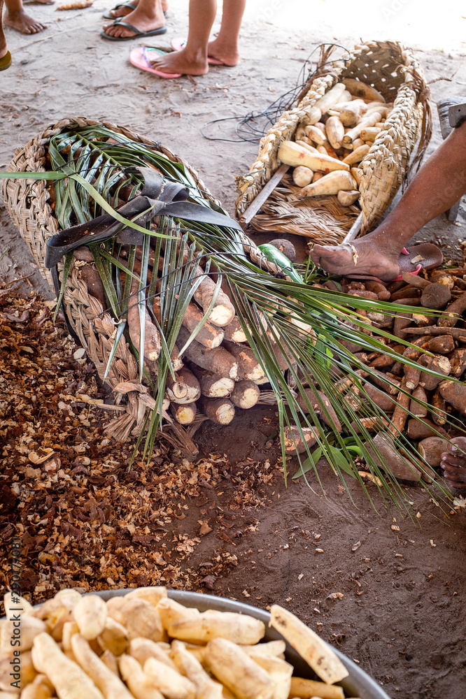 Pez y Yuca Brava, alimentos tipicos de los indigenas en Inirida Guainia ...