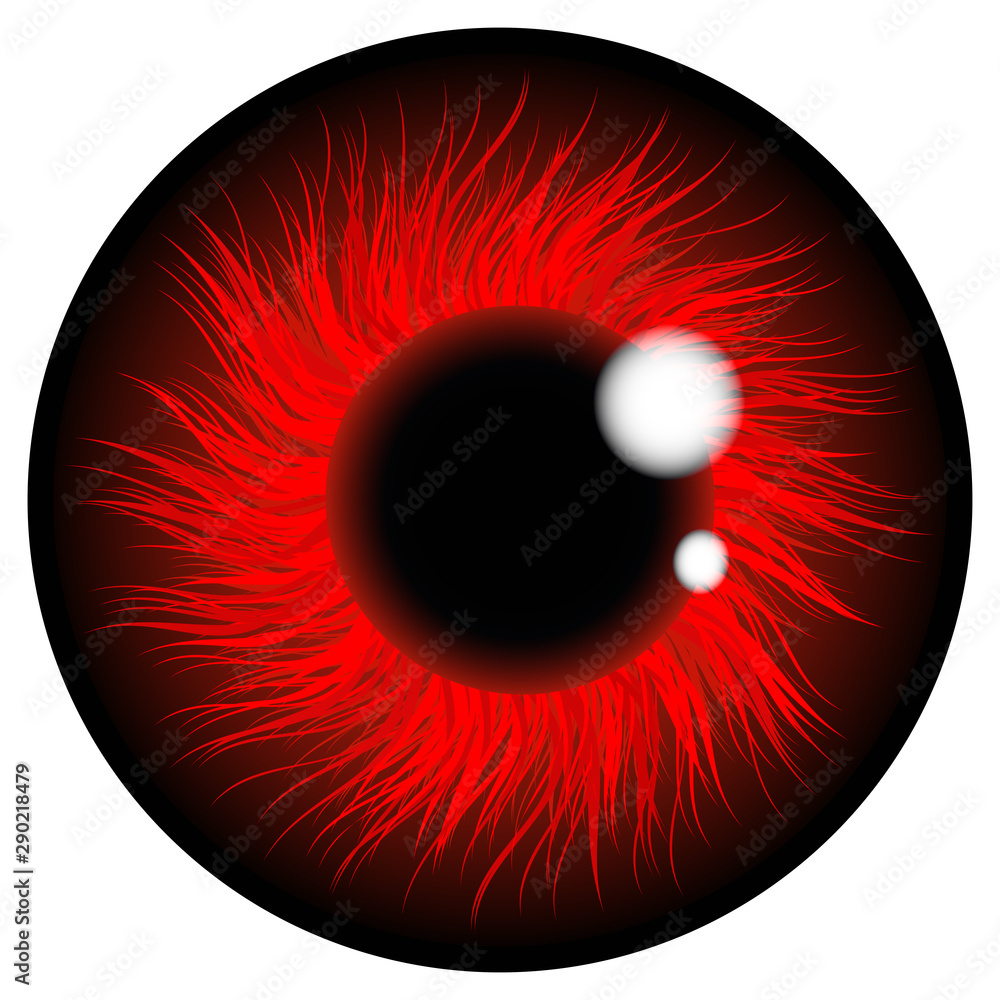 Red Eyes illustration Contact Lens. isolated on transparent background ...