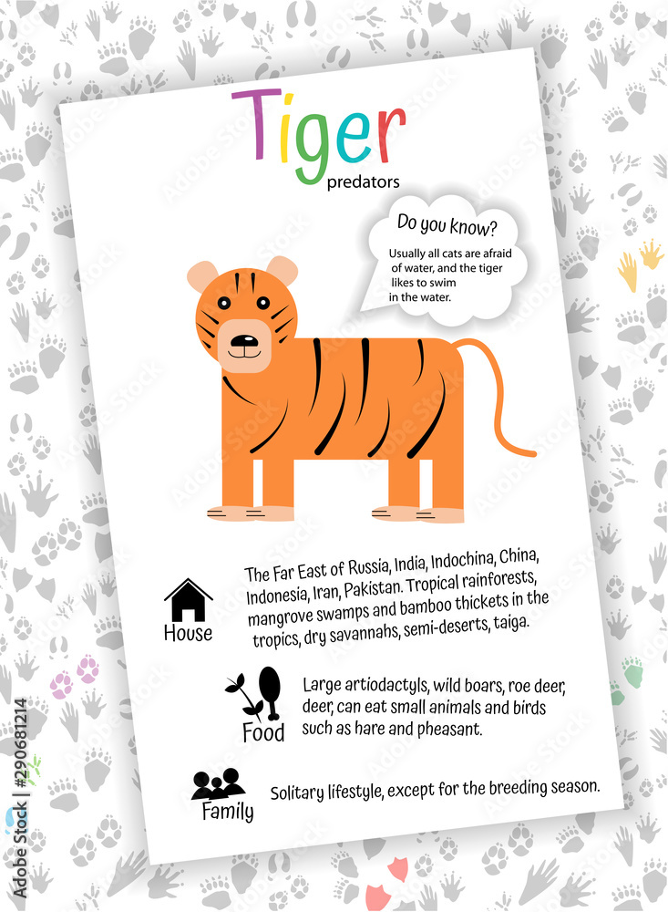Orange cartoon tiger on white background. Educational card for children ...