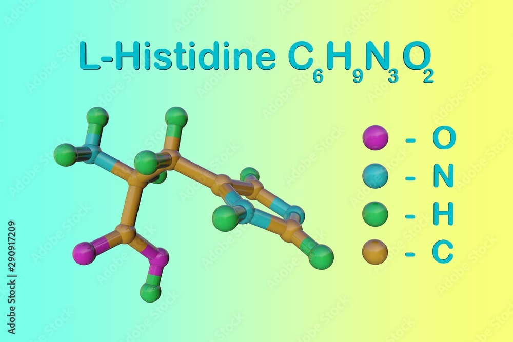 Structural chemical formula and molecular model of l-histidine or ...