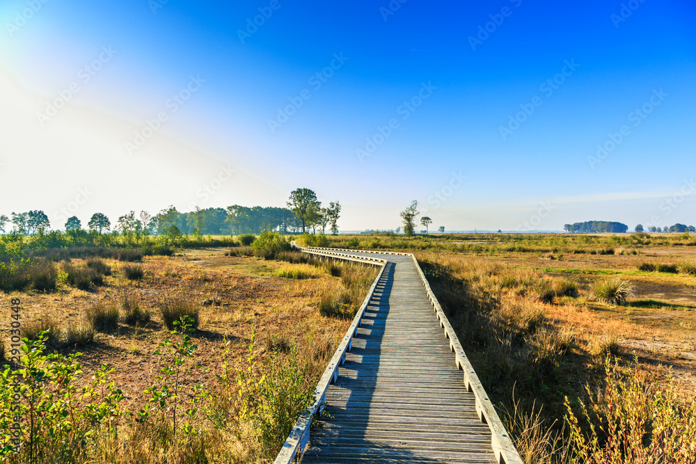National Park Dwingelderveld in the Dutch province of Drenthe is a ...
