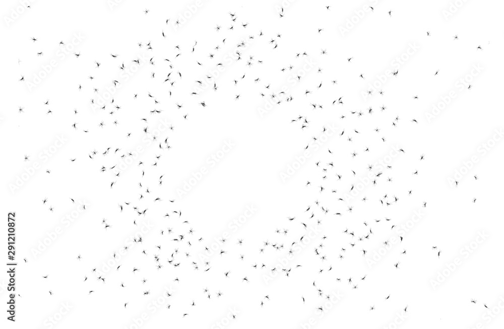 vector illustrative of group of mosquitoes flying in circle shape on ...