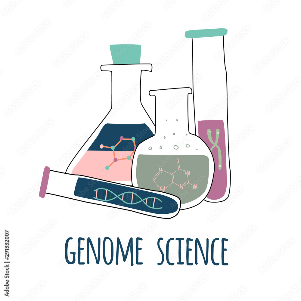 Four test tubes with helix DNA, chromosome, nucleotides. Genome science ...