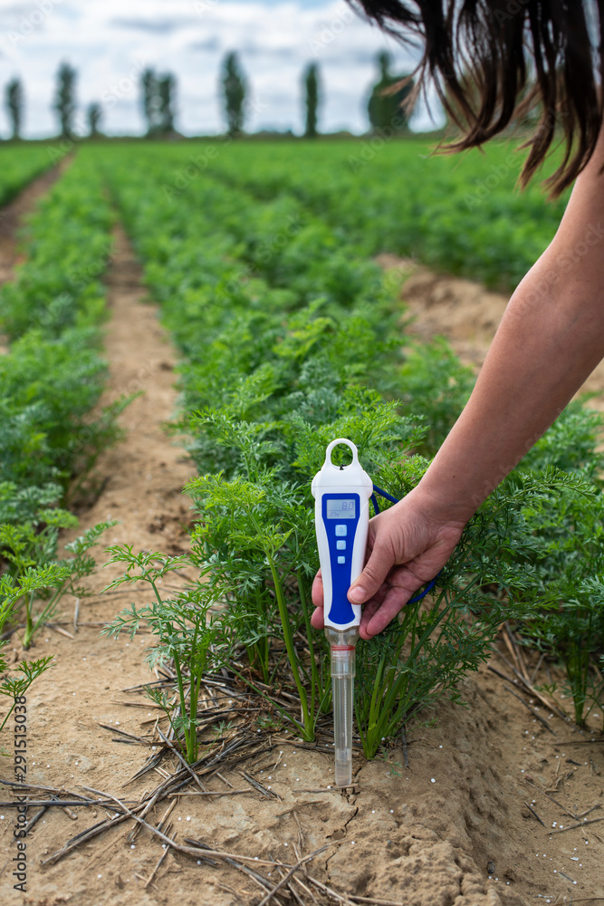 Measure soil with digital device. Green plants and woman farmer measure ...