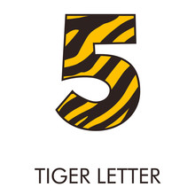 Number 5 Zebra Free Stock Photo - Public Domain Pictures