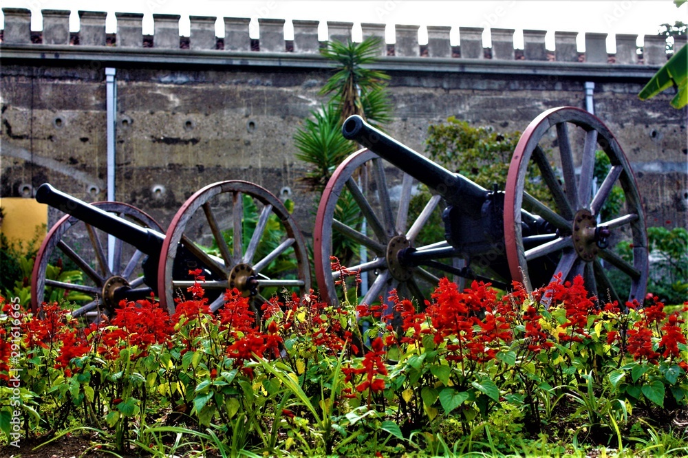 El ejercito de Costa Rica fosilizado Stock Photo | Adobe Stock