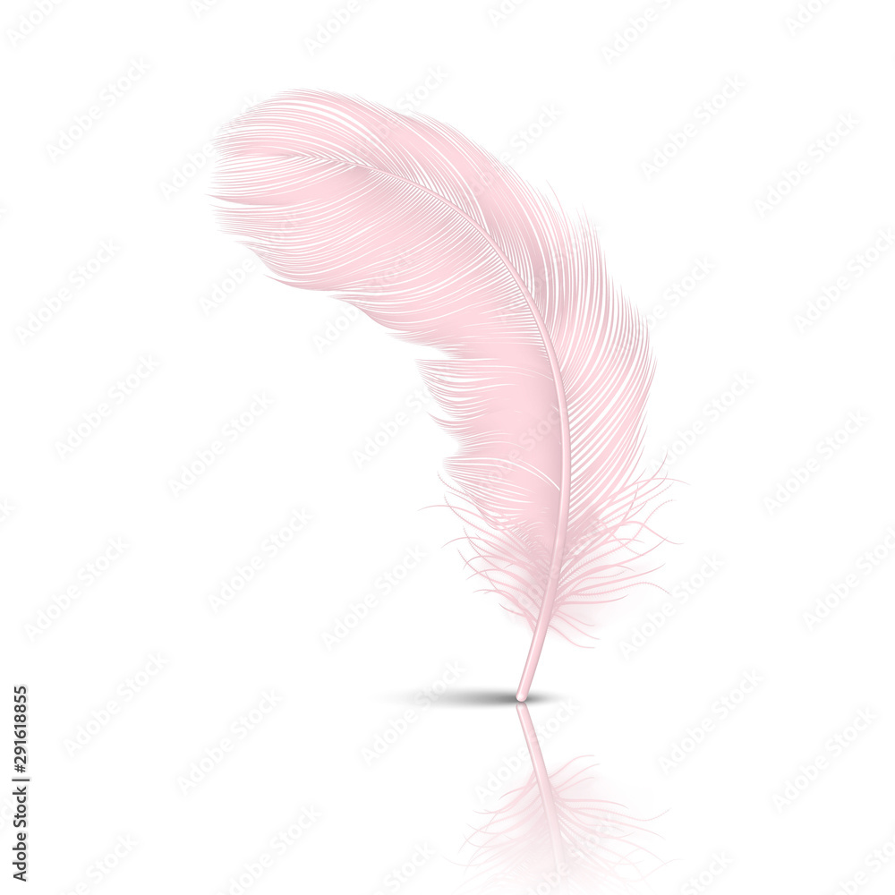Vector 3d Realistic Falling Pink Flamingo Fluffy Twirled Feather with ...