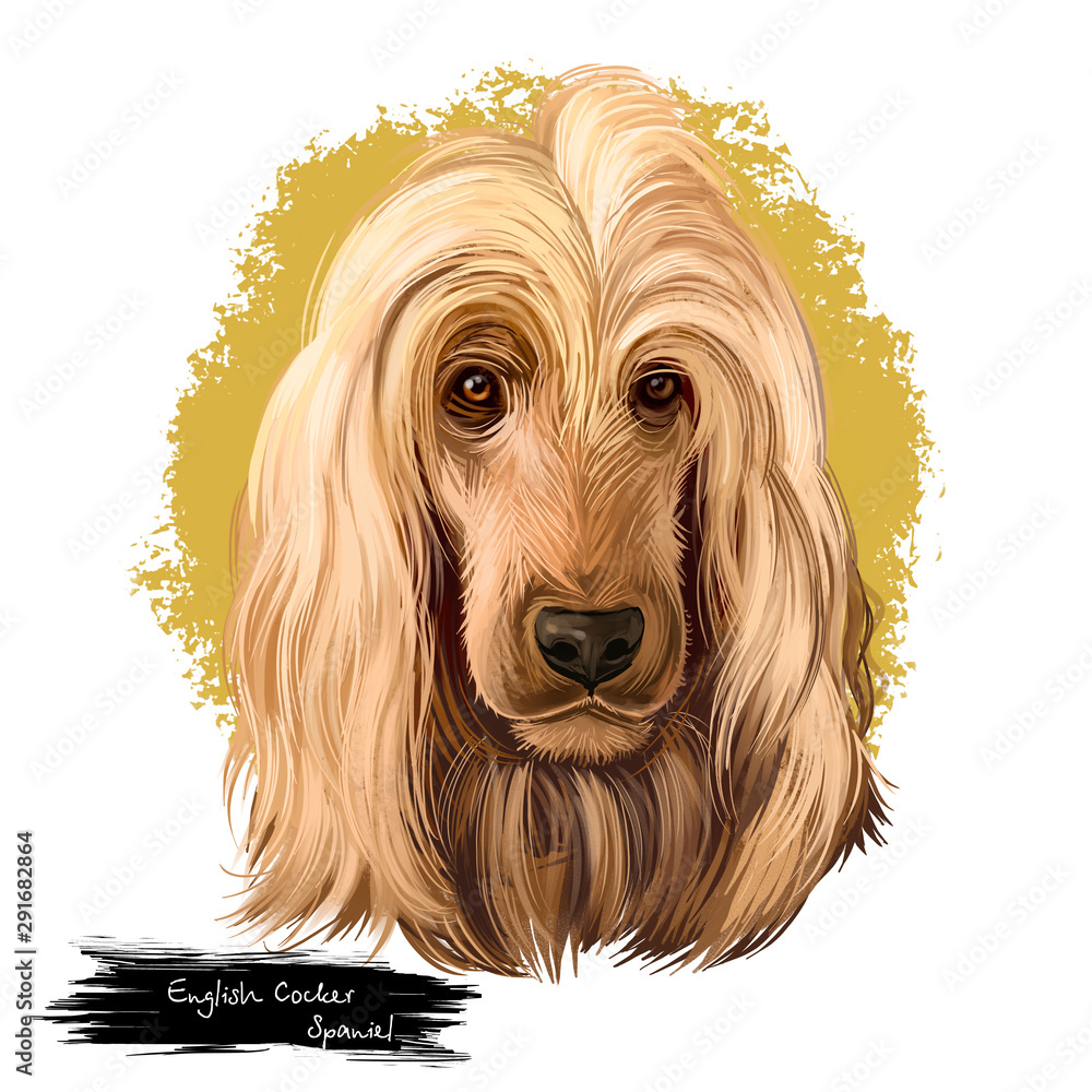 English Cocker Spaniel, Cocker, Cocker Spanie dog digital art ...