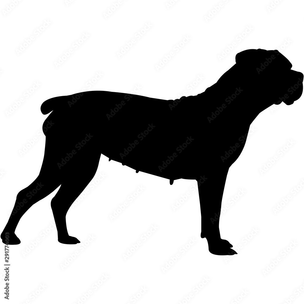 Boerboel Silhouette Vector Stock Vector | Adobe Stock