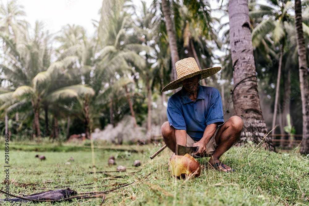 Asian man hacking coconut Stock Photo | Adobe Stock