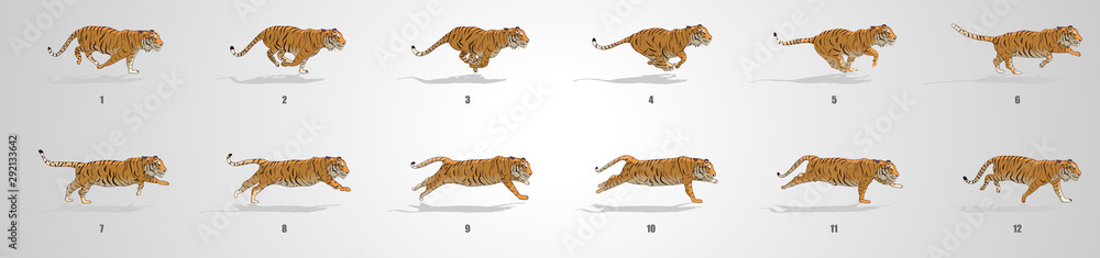 Tiger run cycle animation sequence Stock Vector | Adobe Stock