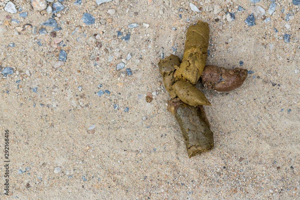 Photo Stock Dog golden poop on the street.Close up feces, background of ...