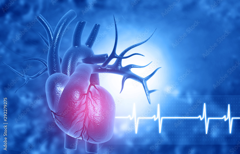 3d illustration of Abstract medical background with Human heart anatomy ...