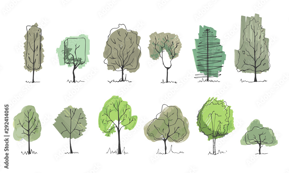 Drawing trees for landscape design. Vector illustration, hand drawn ...