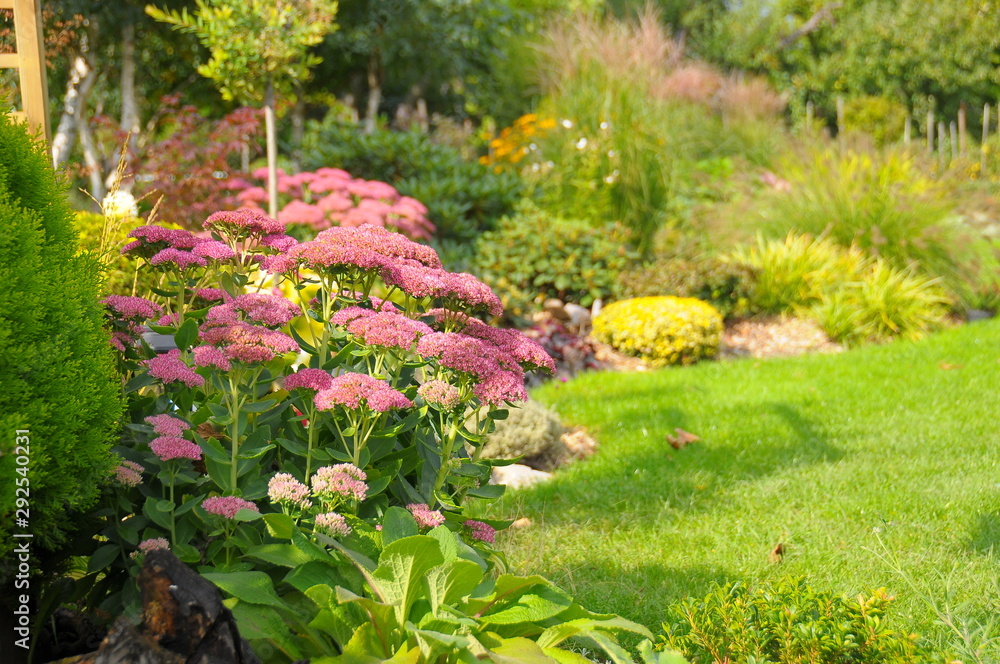 Rabata kwiatowa w ogrodzie Stock Photo | Adobe Stock