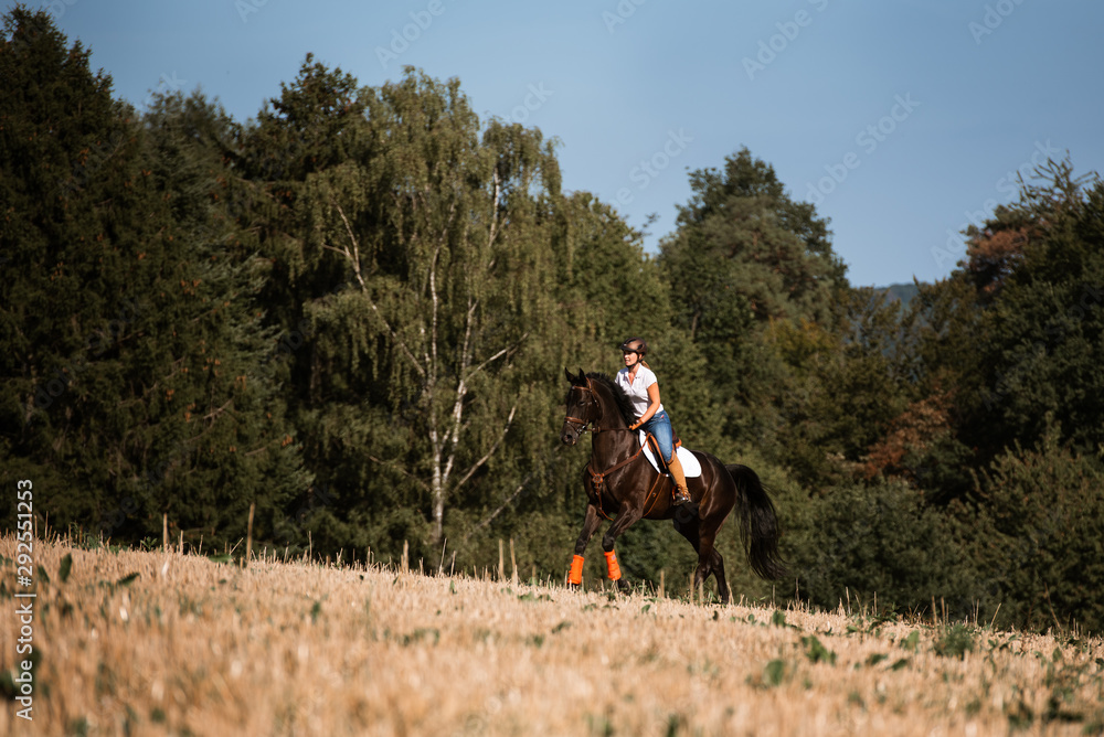 Reiterin galoppiert mit ihrem Pferd im Sommer über ein Stoppelfeld mit ...