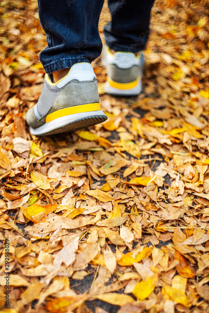 Walk on pavement in Autumn. Back view on the feet of a man walking ...