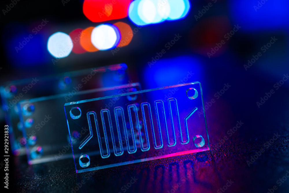 Foto Organ-on-a-chip (OOC) - microfluidic device chip that simulates ...
