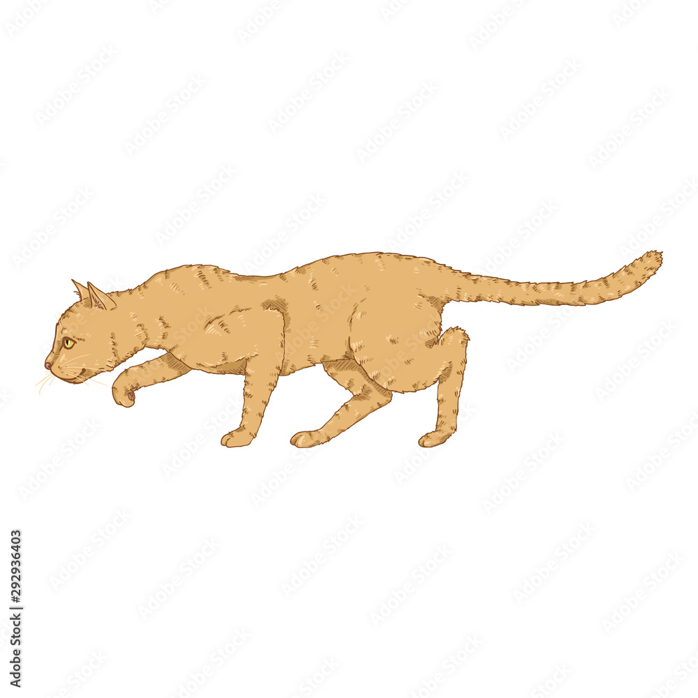 Sneaking Cat. Vector Cartoon Feline Illustration Stock Vector | Adobe Stock