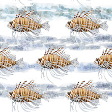 Lion Fish Nautical Art Print Free Stock Photo - Public Domain Pictures