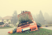 Tree Growing Out Of Abandoned Car 3 Free Stock Photo - Public Domain ...