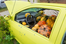 Tree Growing Out Of Abandoned Car Free Stock Photo - Public Domain Pictures
