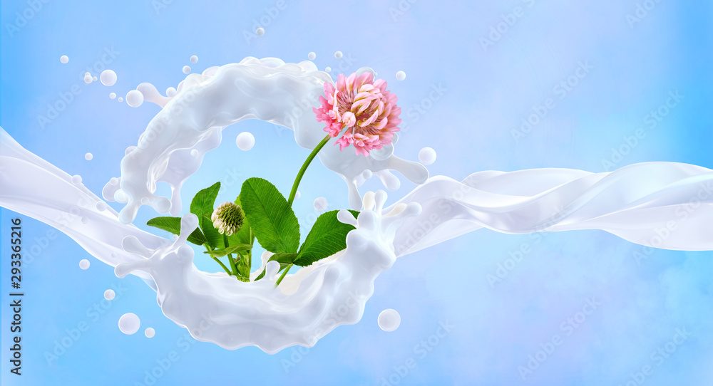 Fresh milk, milk shake, bio yogurt, smoothie splash with clover flower ...
