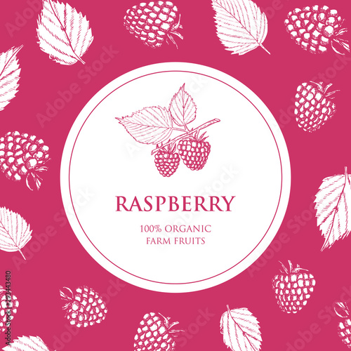 Hand drawn raspberry set isolated on white background. Retro sketch ...