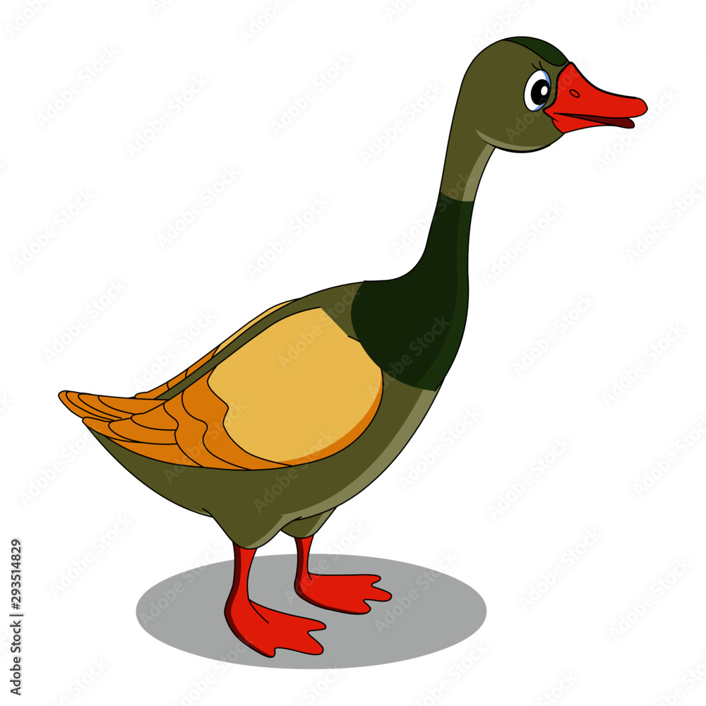 Single Duck - Cartoon Vector Image Stock Vector | Adobe Stock