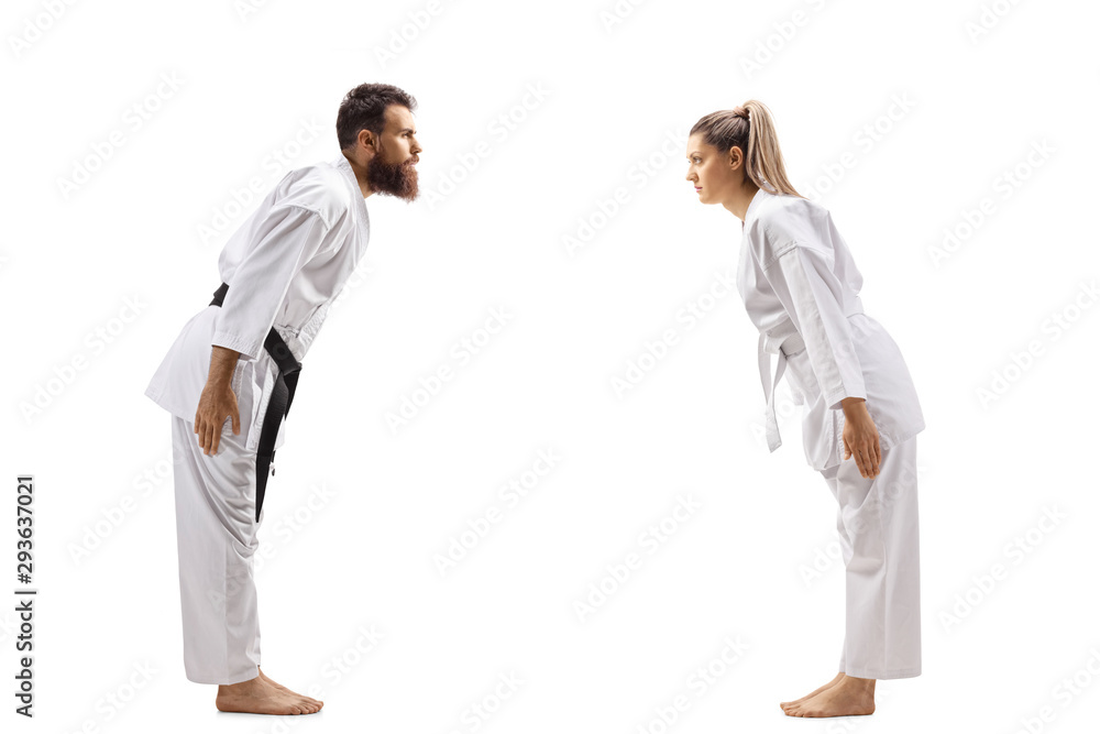 Woman in kimono bowing at martial art instructor Stock Photo | Adobe Stock