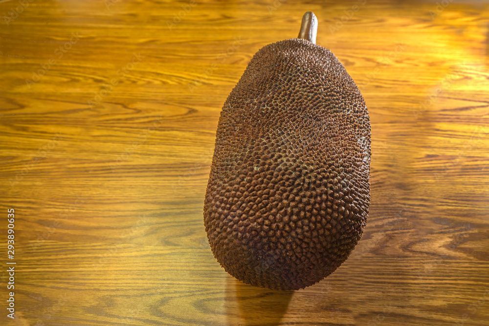 Photo Stock The jackfruit (Artocarpus heterophyllus), is the national ...