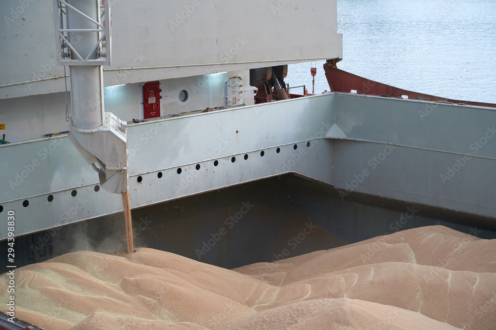 Grain loading in hold of bulk carrier ship with elevator crane closeup ...