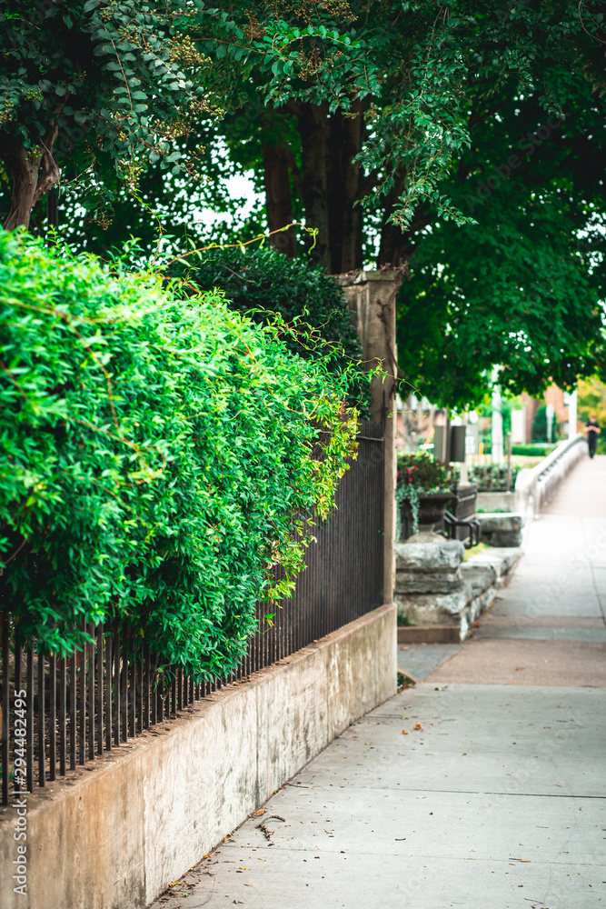 Wrought Iron Fence on Sidewalk Stock Photo | Adobe Stock