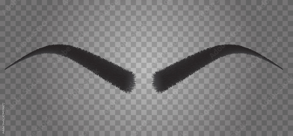 Realistic 3d human eyebrows form isolated on transparent background ...