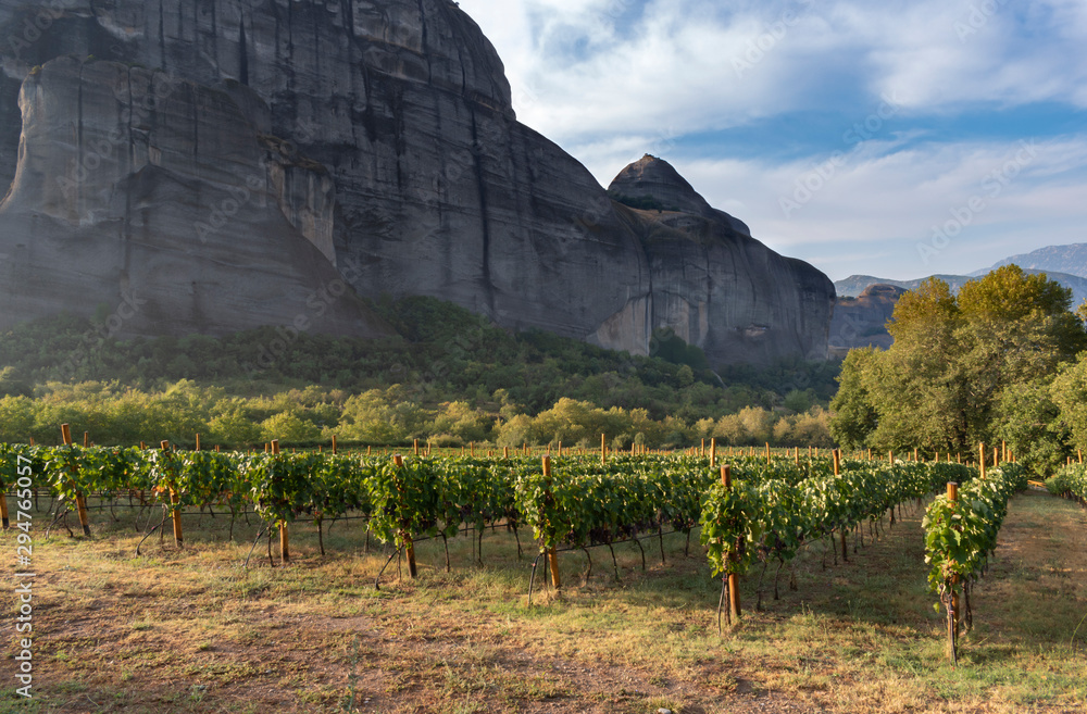 Beautiful view of the vineyards in Meteora, Greece. Meteors are a ...