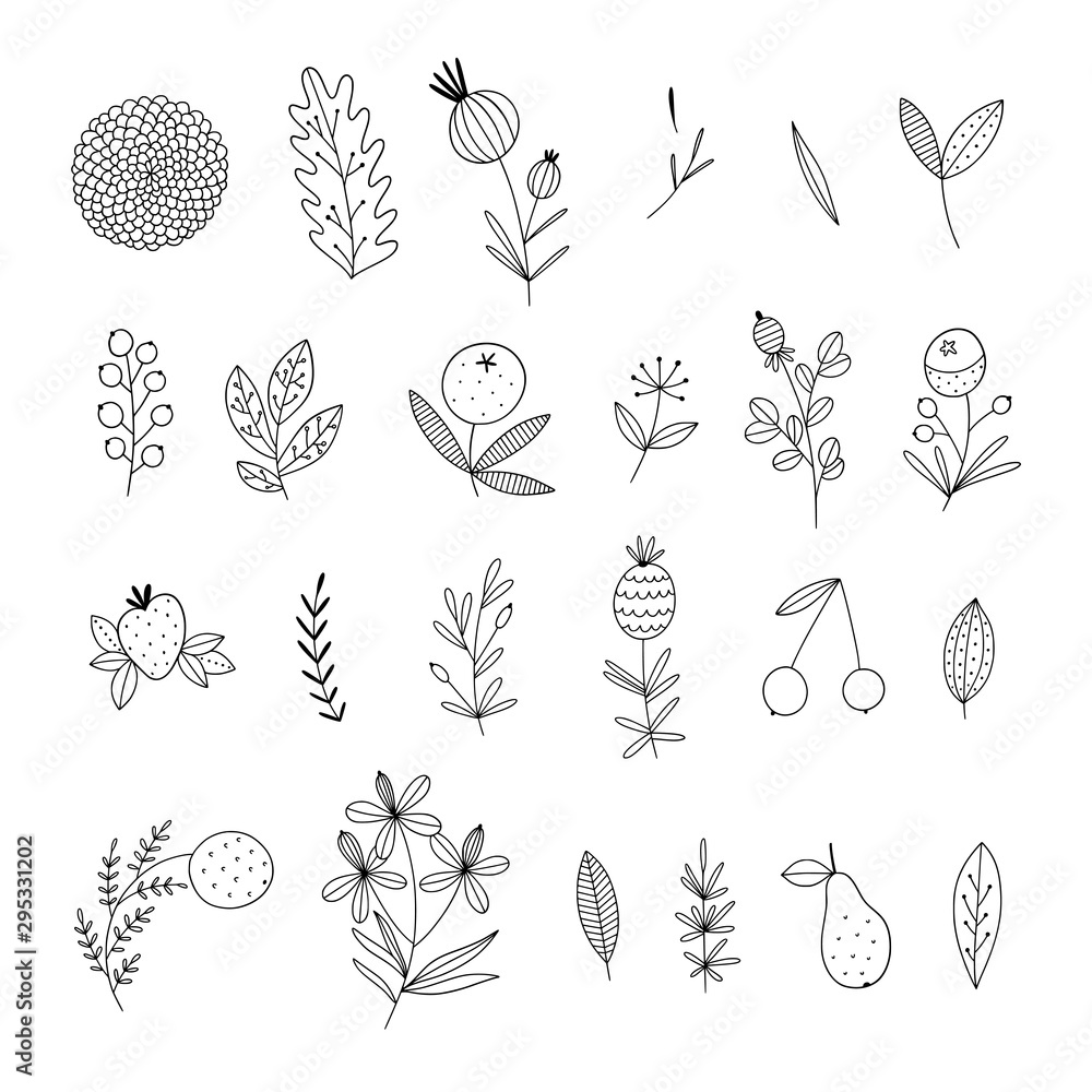 Botanical vector set with outline thin plants, flowers, leaves on white ...
