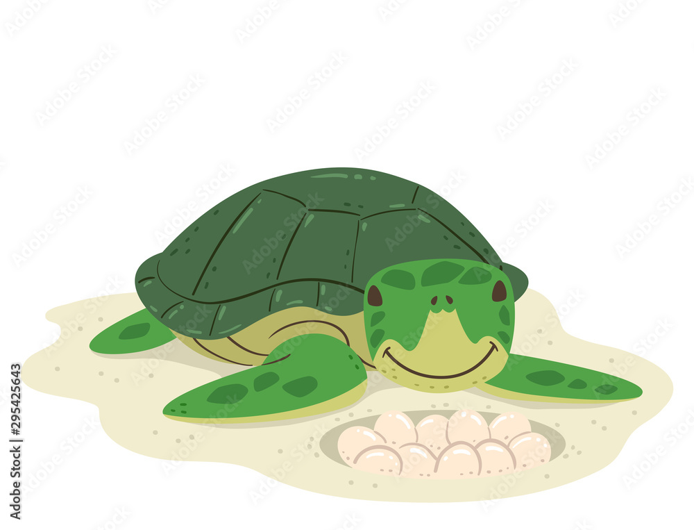 Animal Lay Eggs Turtle Illustration Stock Vector | Adobe Stock