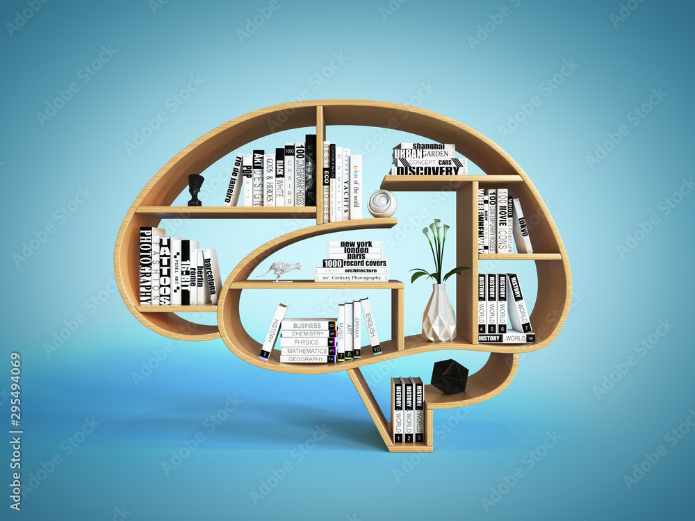 Bookshelves in the shape of human brain, intelligence book shelf ...