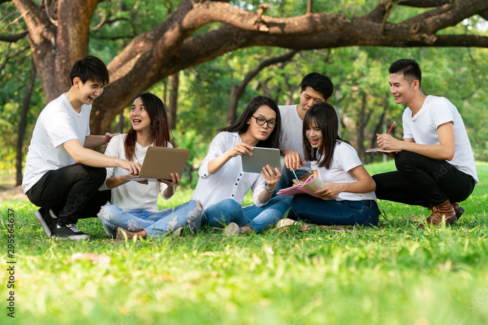 Team of young students studying in a group project in the park of ...
