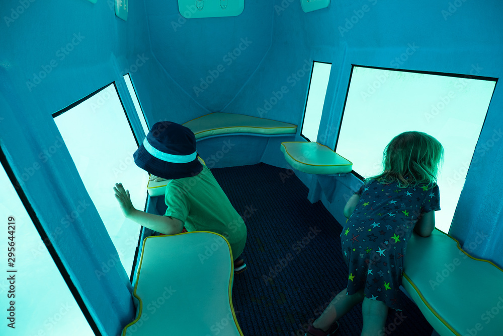 3 and 5 years old kids looking through the window of a glass bottom ...