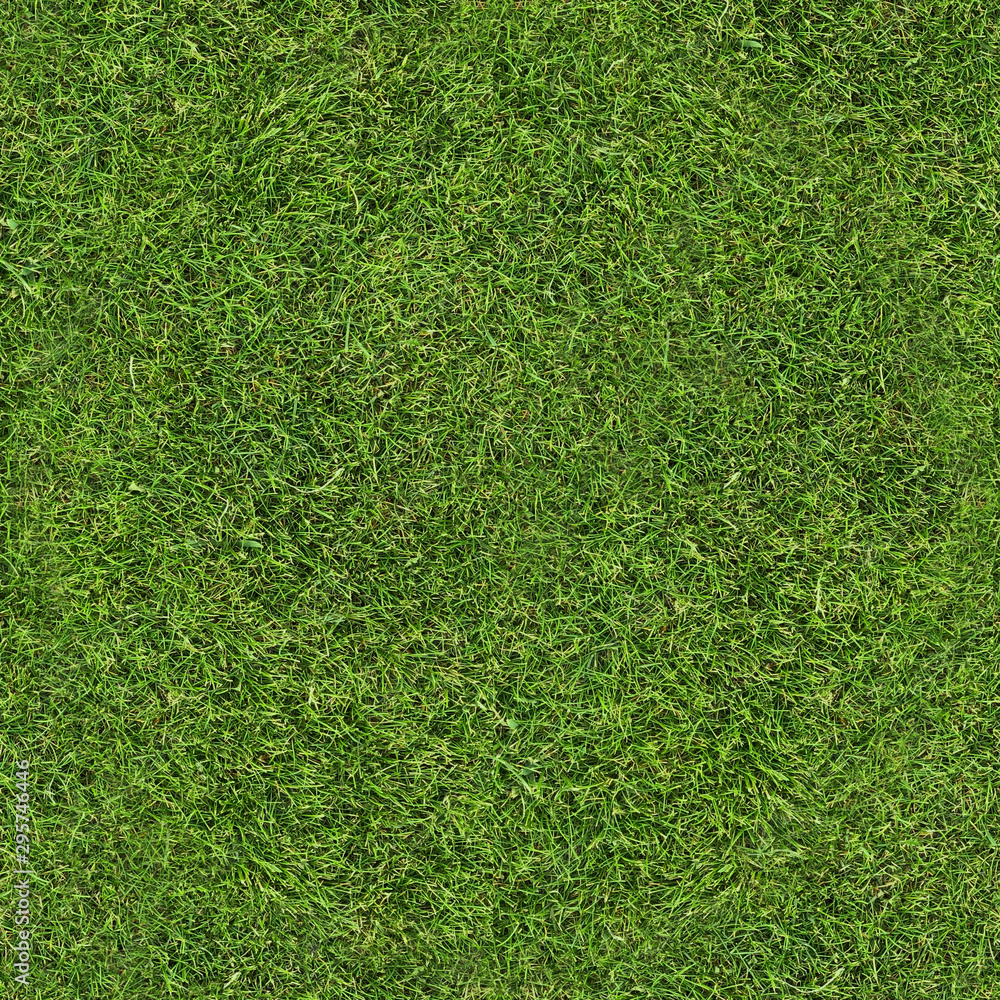 Seamless green grass texture Stock Photo | Adobe Stock
