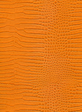 Orange Crocodile Skin Background Free Stock Photo - Public Domain Pictures