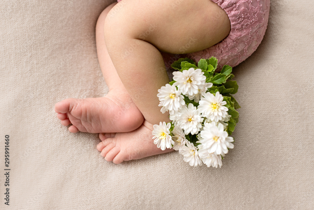 feet of the newborn baby with flower, fingers on the foot, maternal ...