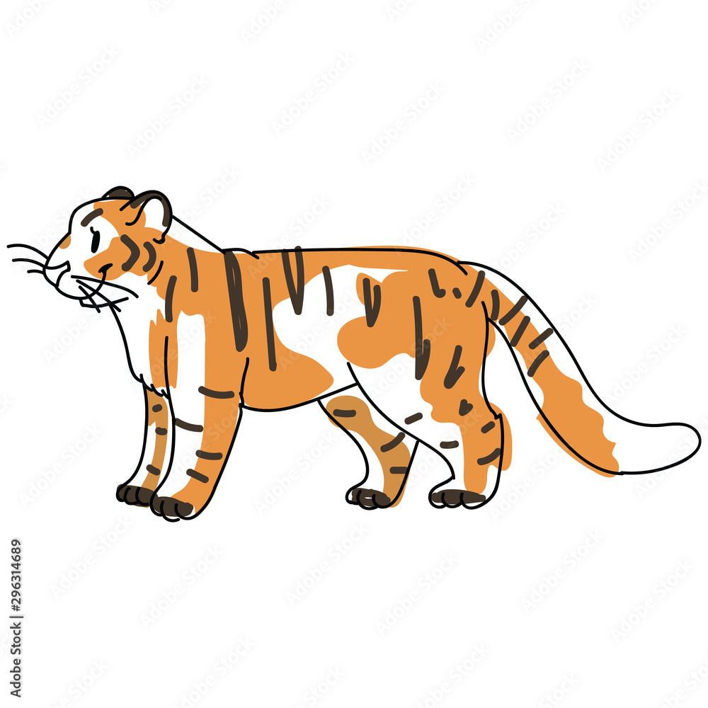 Sketchy inked tiger big cat vector illustration. Free hand drawn ...