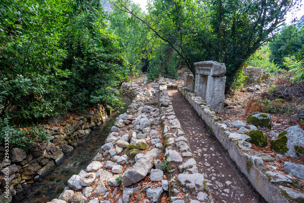 Olympos antique city. Path and streams through dense forest and the ...