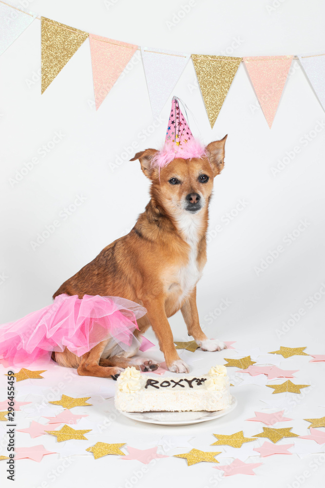 Happy Birthday Roxy Stock Photo | Adobe Stock