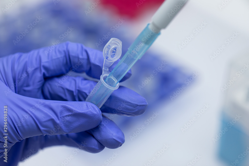 Polymerase Chain Reaction (PCR) and Agarose gel electrophoresis is a ...