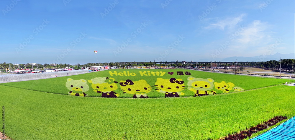 Farmers Create Hello Kitty Images in a Rice Field Stock Photo | Adobe Stock